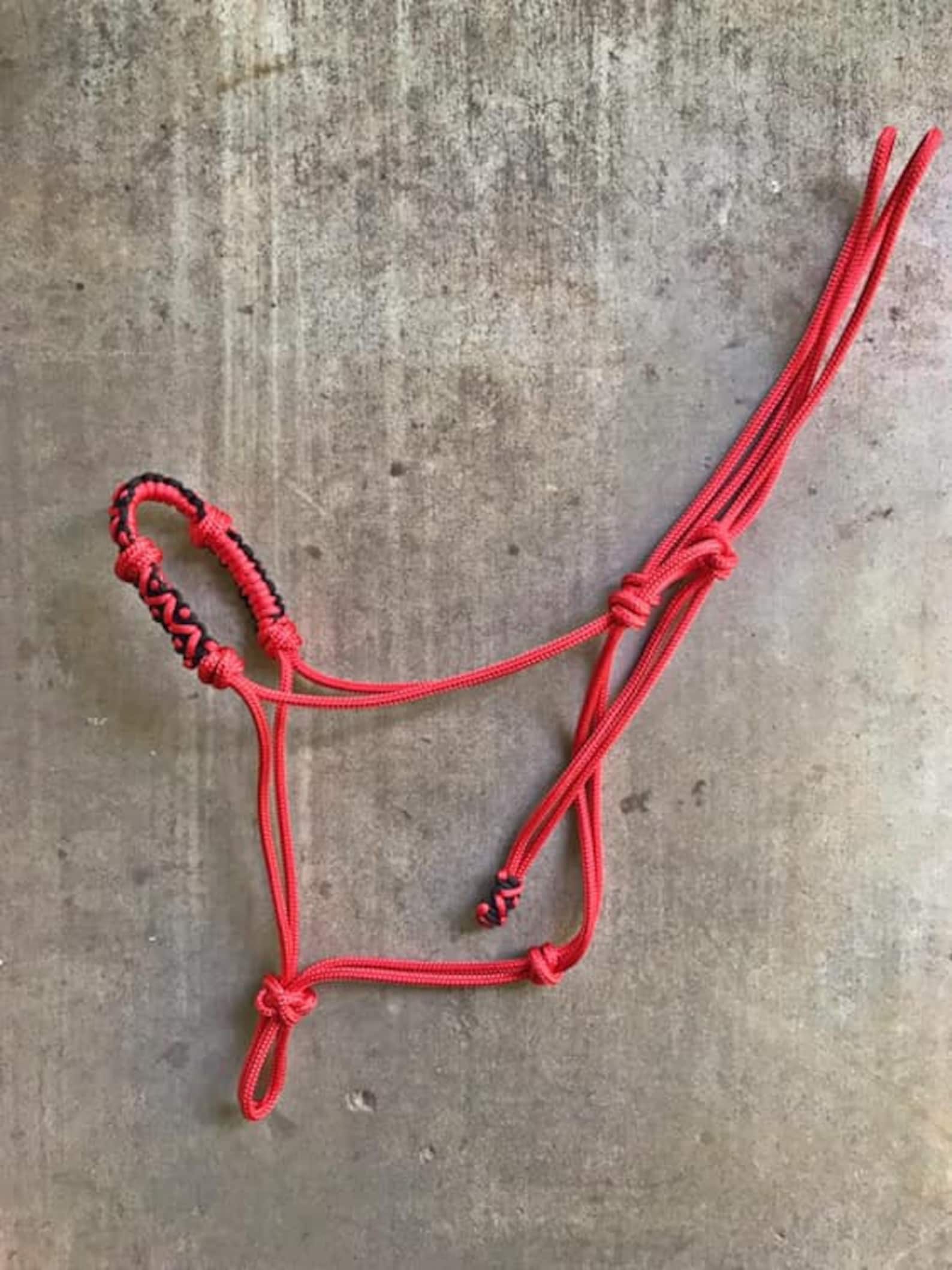 Custom Soft or Stiff Yacht Rope Halters with Paracording | Etsy