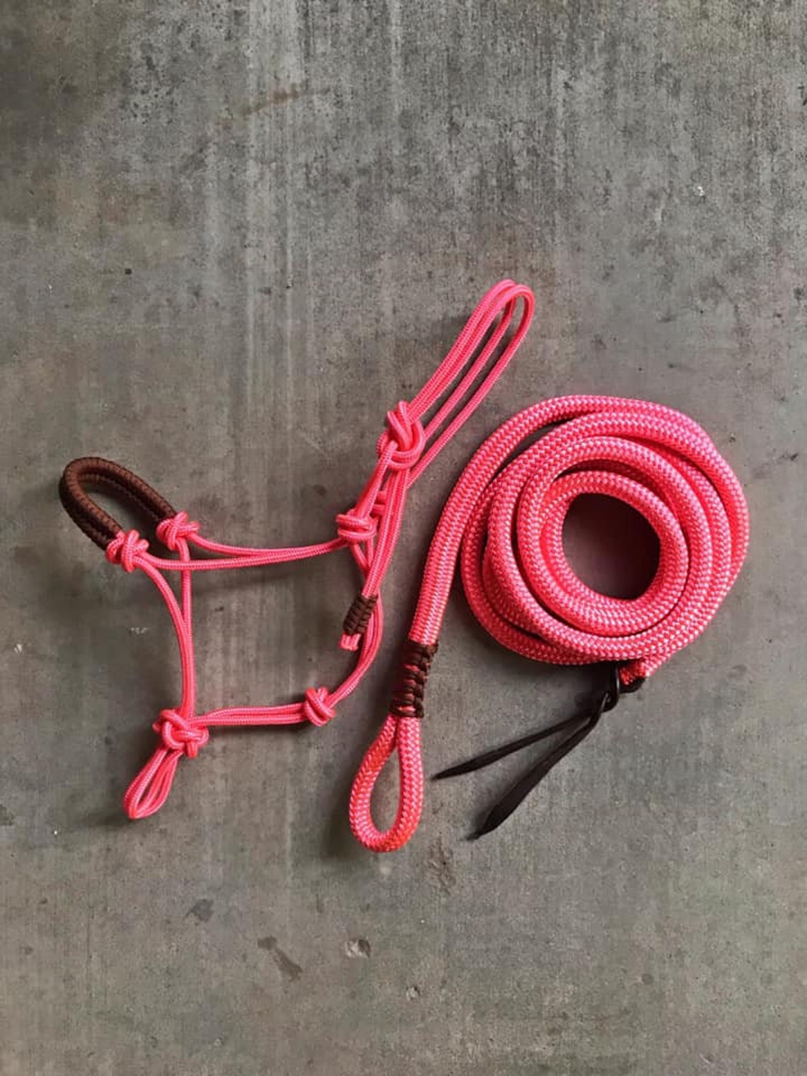 Custom Rope Halter With Matching 10' Lead Rope | Etsy