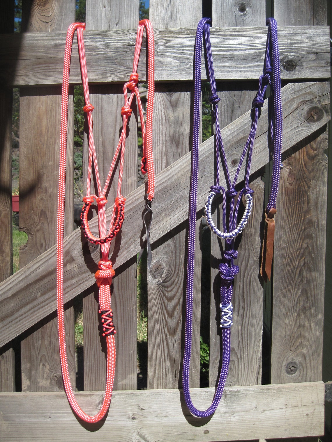 Custom Rope Halter With Matching 10' Lead Rope | Etsy