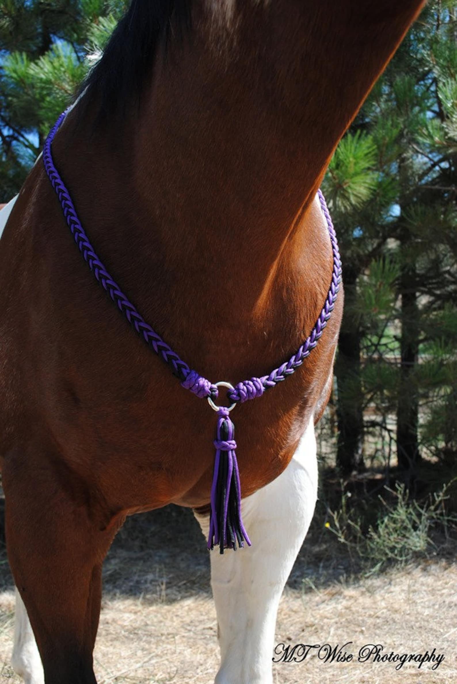Neck Rope, Bridle Less Riding Rein, Balance Rein, Liberty Neck Rope ...