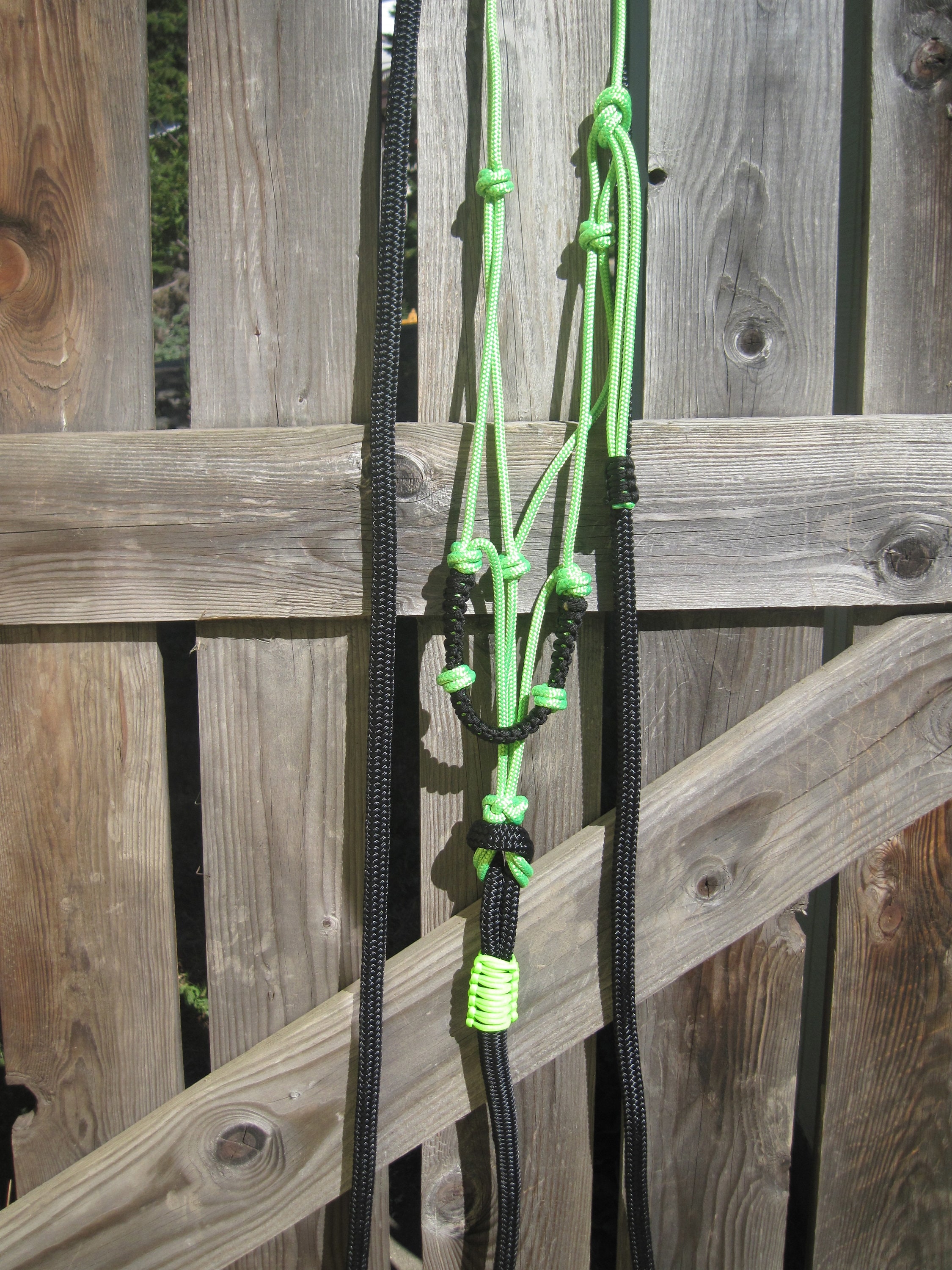 Custom Rope Halter With Matching 10' Lead Rope | Etsy