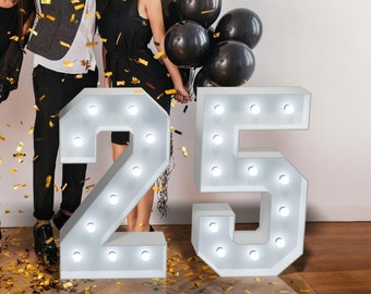 Light up Numbers, Birthday Numbers, Giant Event Numbers, Large Lighted ...