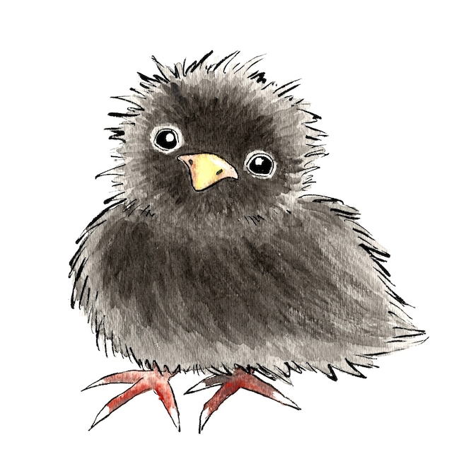 Cute Baby Raven Painted with Watercolor Digital Download | Etsy