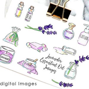 Lavender Essential Oil Bundle 12 Digital Images Watercolor and Ink - Etsy