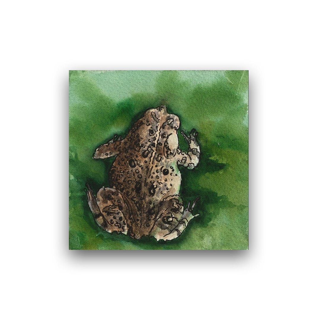 Original Art - Toad - Watercolor Painting - Etsy