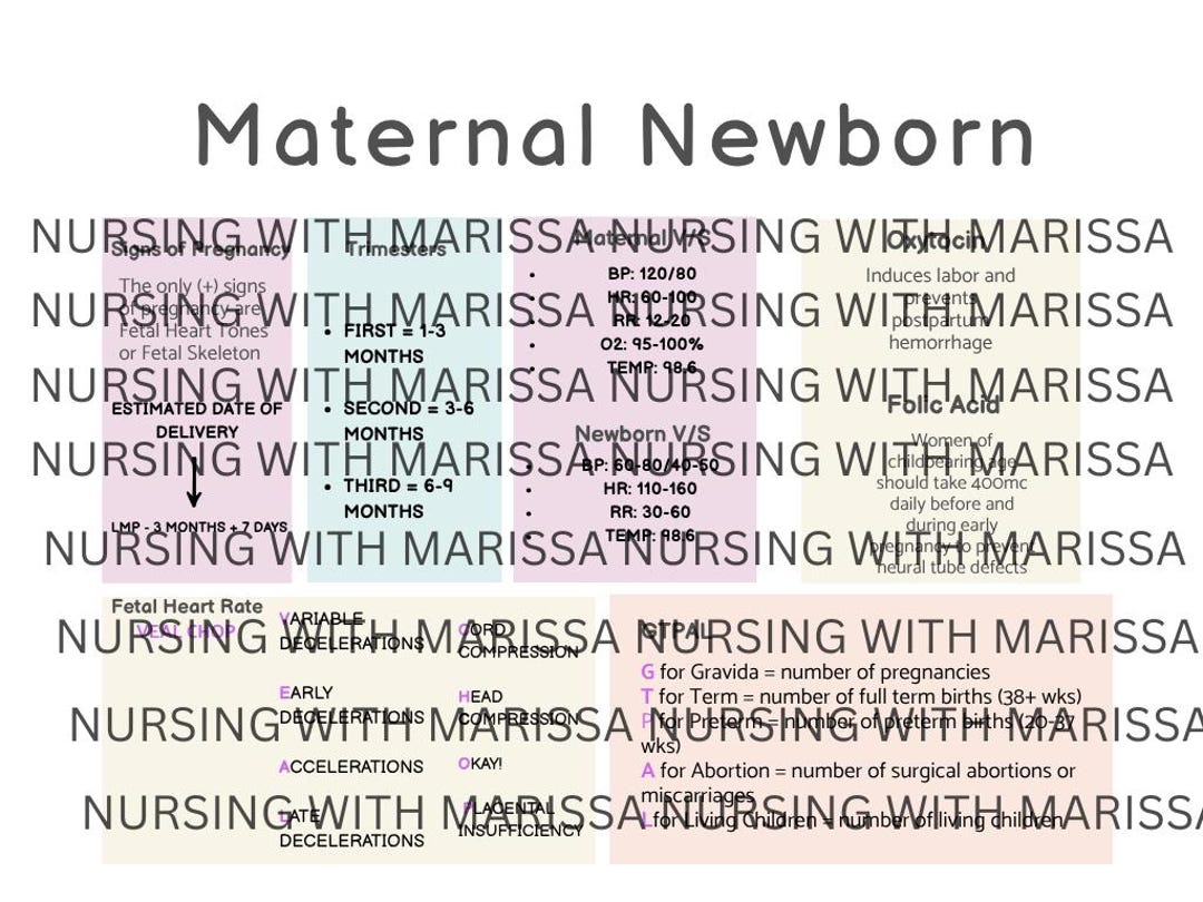 Maternal Newborn Review and NCLEX Prep. - Etsy