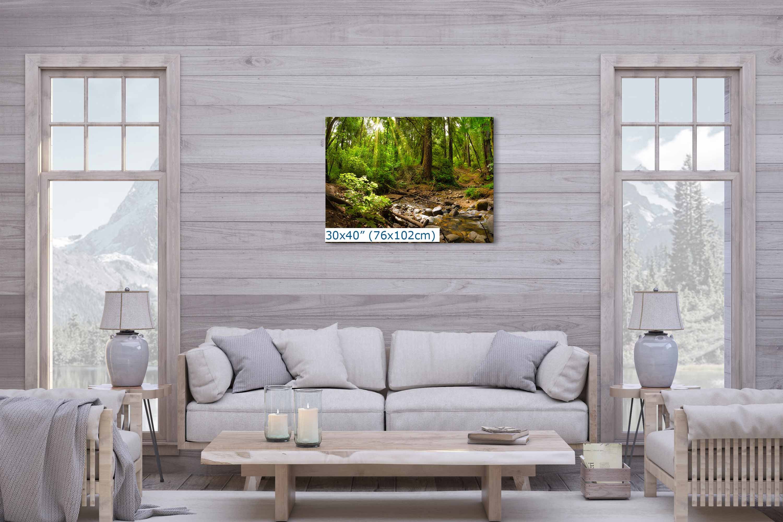 Forest Wall Art Serene Art From the California Coast Santa - Etsy