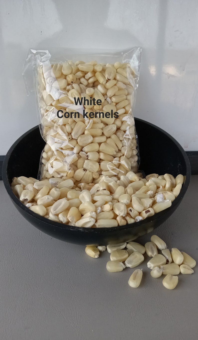 White Corn Kernels (2 Lbs) - Etsy