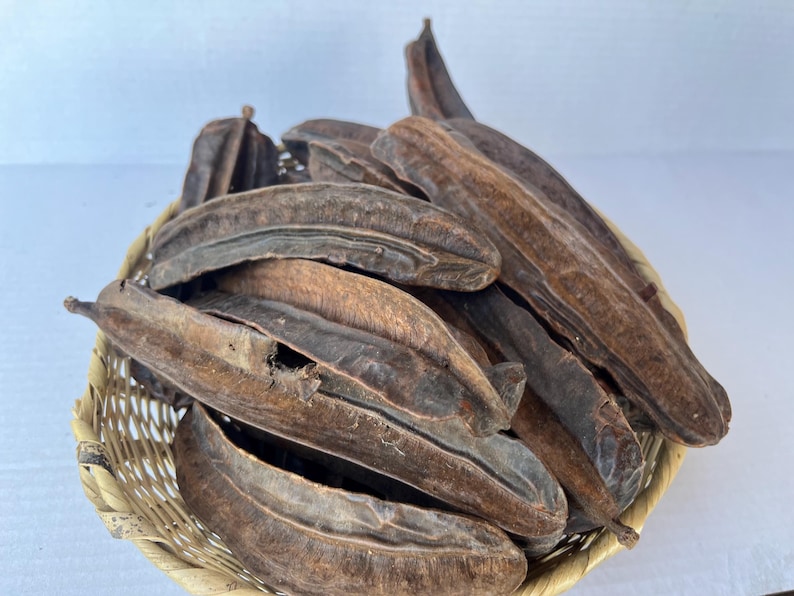 Prekese Fruit Pods/ Aidan Fruit /tetrapleura Tetraptera (10 Pieces) - Etsy