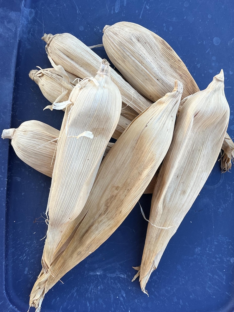 Whole Dried Corn Husks 100% Organic (6 Pieces per Pack ) - Etsy