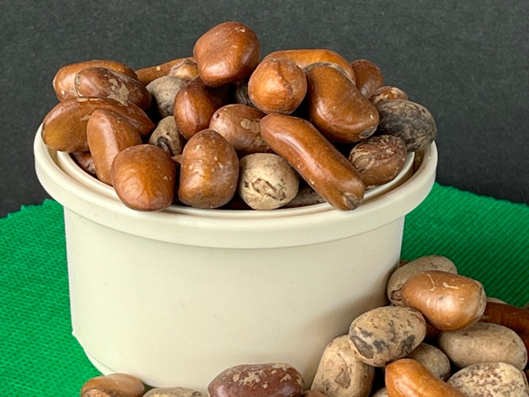 Peeled Calabash Nutmeg Wede Aba/ Erhe Ehuru / African Nutmeg - Etsy