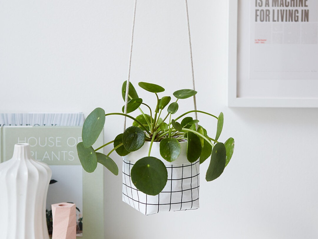 Hanging Planter - Grid (medium) - Etsy