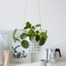 Hanging Planter - Grid (medium) - Etsy