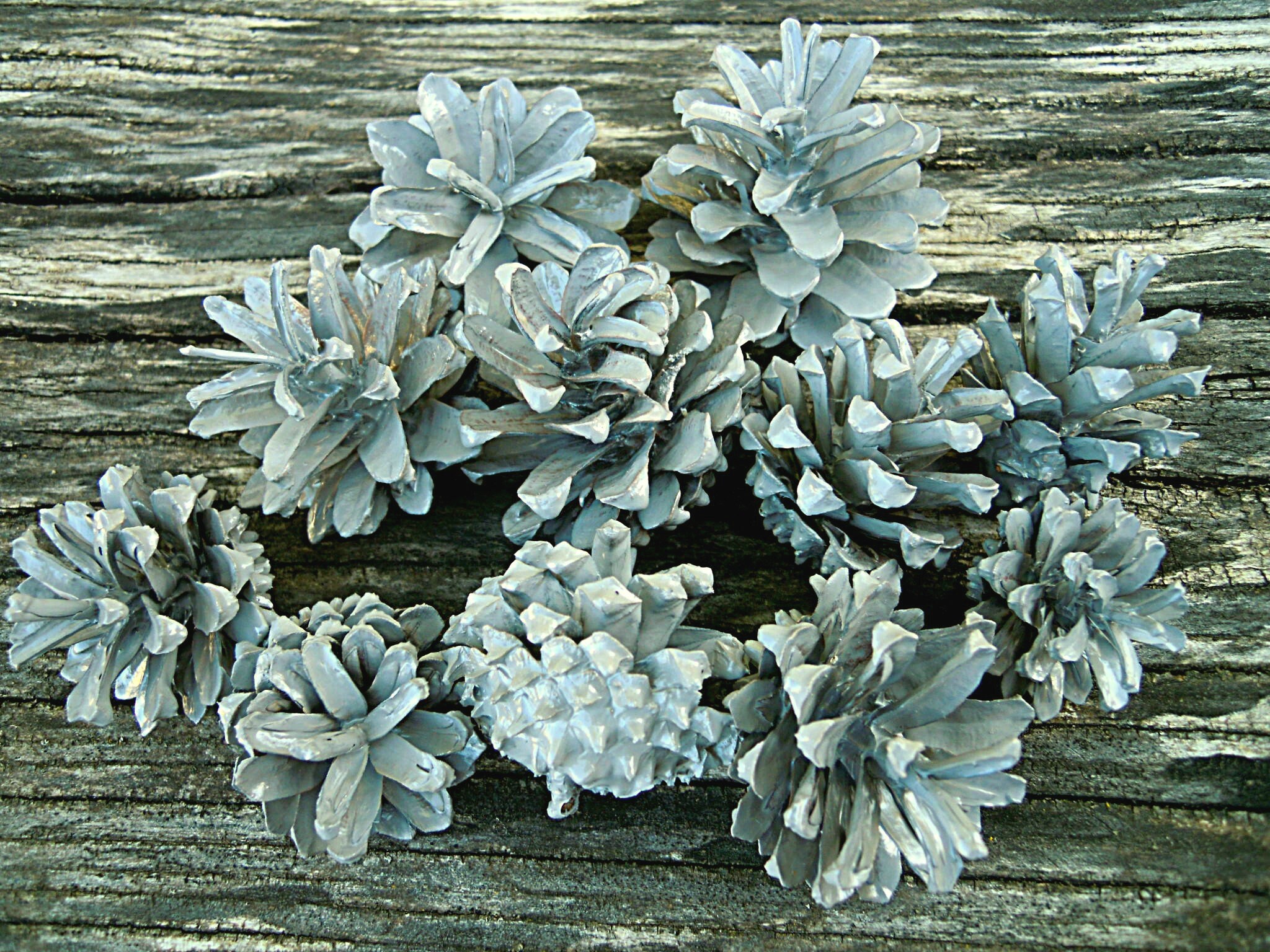 Pine Cones, Painted Cones, Grey Cones, Natural Supplies, Set of 10 Pcs ...