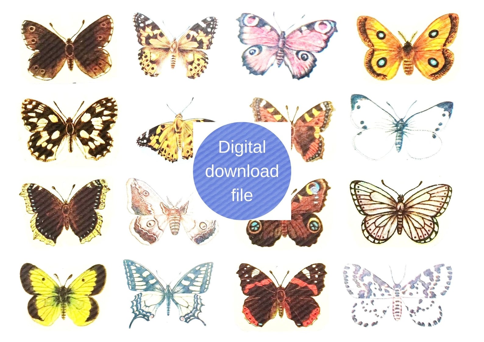 Digital Download File, Butterfly, 33 Images, A4, Digital Elements ...