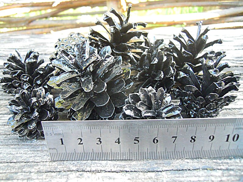 Pine Cones Painted Cones Black Cones Natural Supplies Set - Etsy