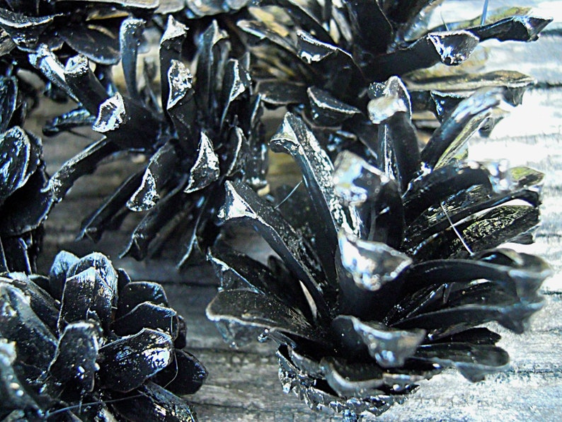 Pine Cones Painted Cones Black Cones Natural Supplies Set - Etsy