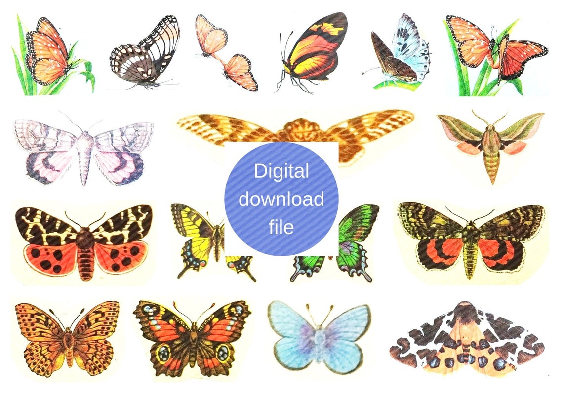 Digital Download File, Butterfly, 33 Images, A4, Digital Elements ...