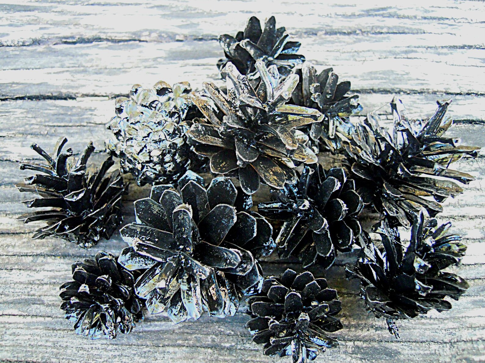 Pine Cones Painted Cones Black Cones Natural Supplies Set - Etsy