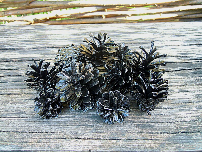 Pine Cones Painted Cones Black Cones Natural Supplies Set - Etsy