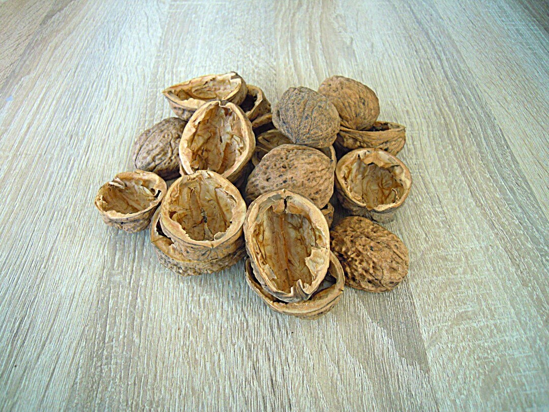 Walnut Shell, Walnut Shell Halves - Etsy