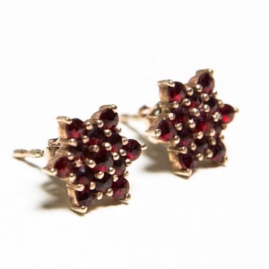 Star garnet earrings store