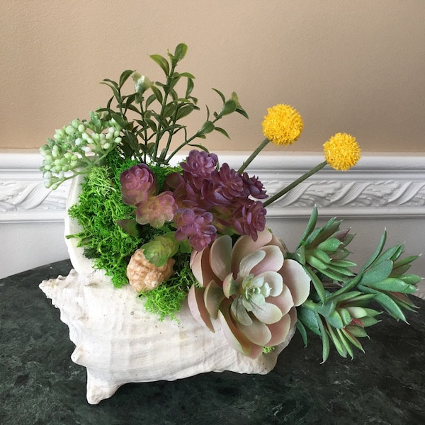 Conch Shell Planter - Etsy