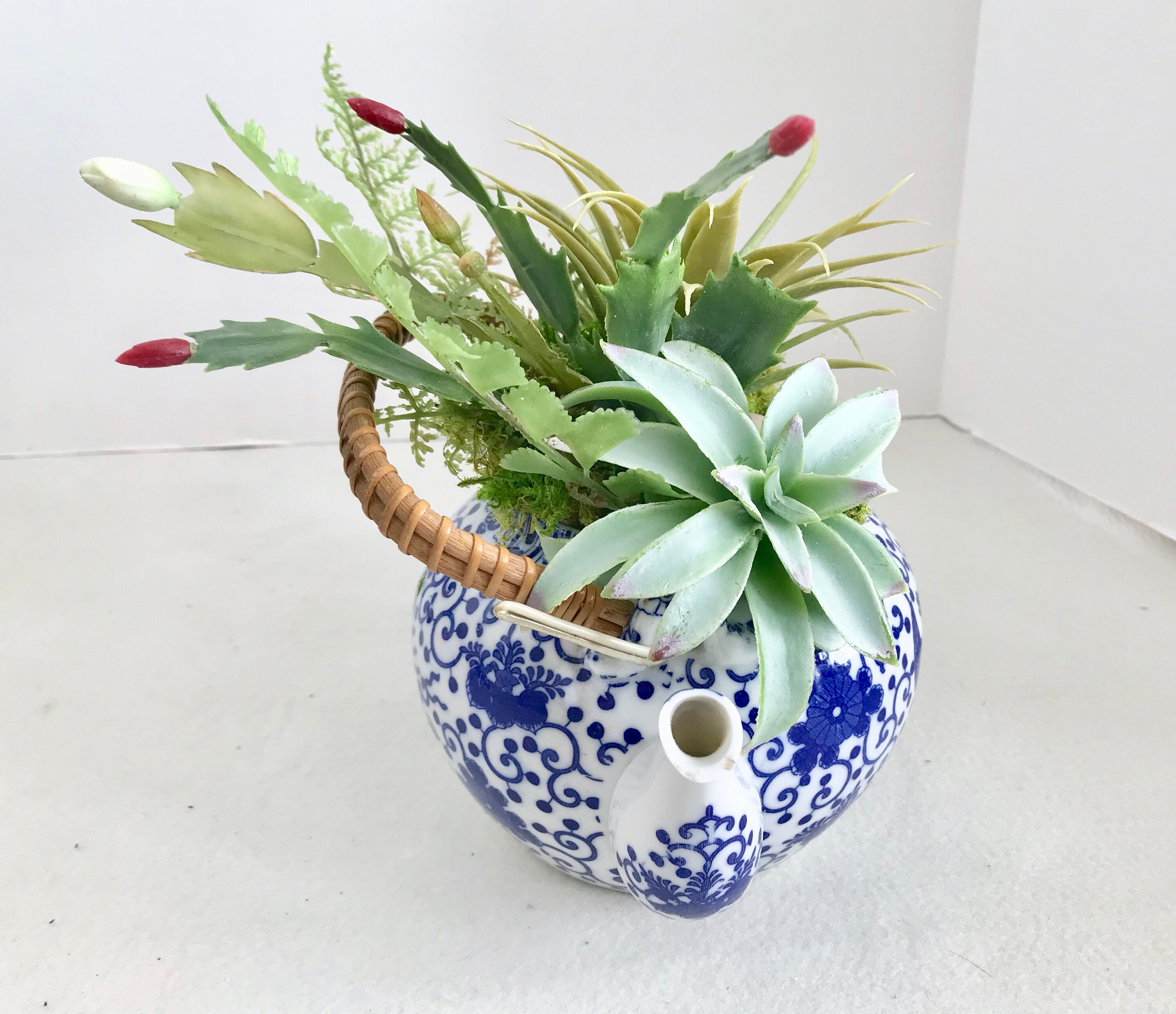 Flying Phoenix/turkey Decorative Planter With Christmas Cactus - Etsy