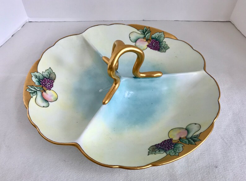 Fischer & Mieg of Pirkenhammer Hand Painted Gold Decorated Divided ...