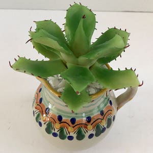 Decorative Green Cactus and Grass Succulents in Light Brown Festive ...