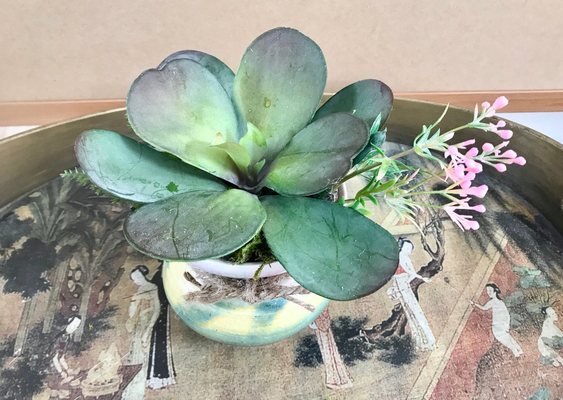 Decorative Planter in A Multi-colored Ceramic Planter With - Etsy