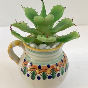Decorative Green Cactus and Grass Succulents in Light Brown Festive ...