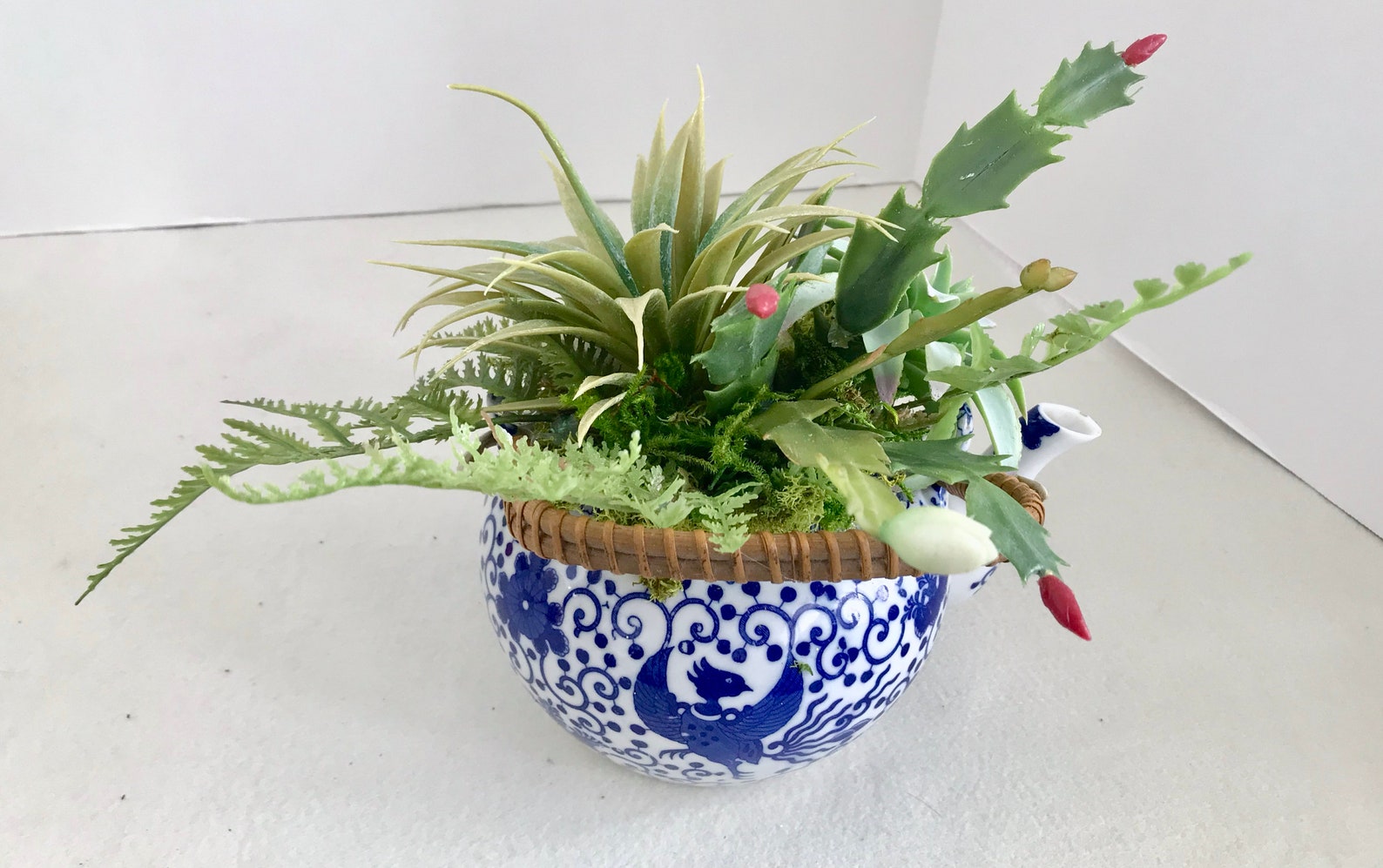 Flying Phoenix/turkey Decorative Planter With Christmas Cactus - Etsy