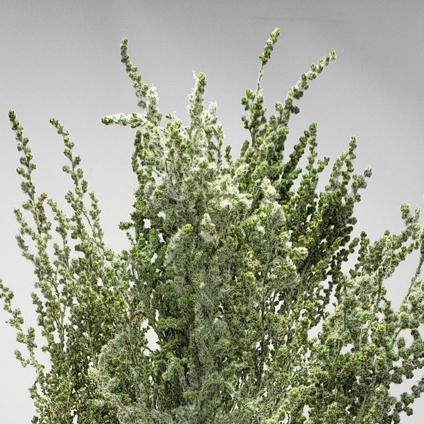 Dried Branches Leaves - Etsy