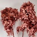 Mauve Pink/ Peegee Hydrangea W/stems High Quality Home Décor - Etsy