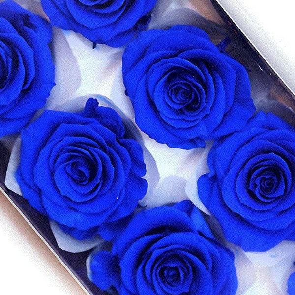 Indigo Rose - Etsy