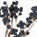 Syarinbai Berry Dried Flower With Stems, Dried Flower,home Décor ...