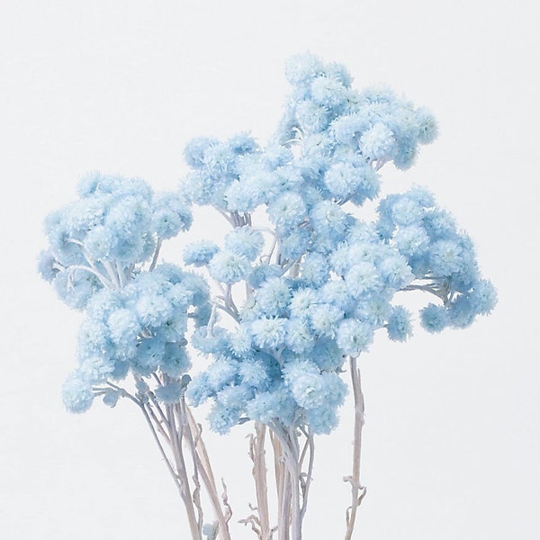 Blue Dried Flowers - Etsy