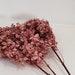 Mauve Pink/ Peegee Hydrangea W/stems High Quality Home Décor - Etsy