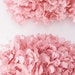 Cloudy Pink Preserved Peegee Hydrangea Home Décor Flowers - Etsy