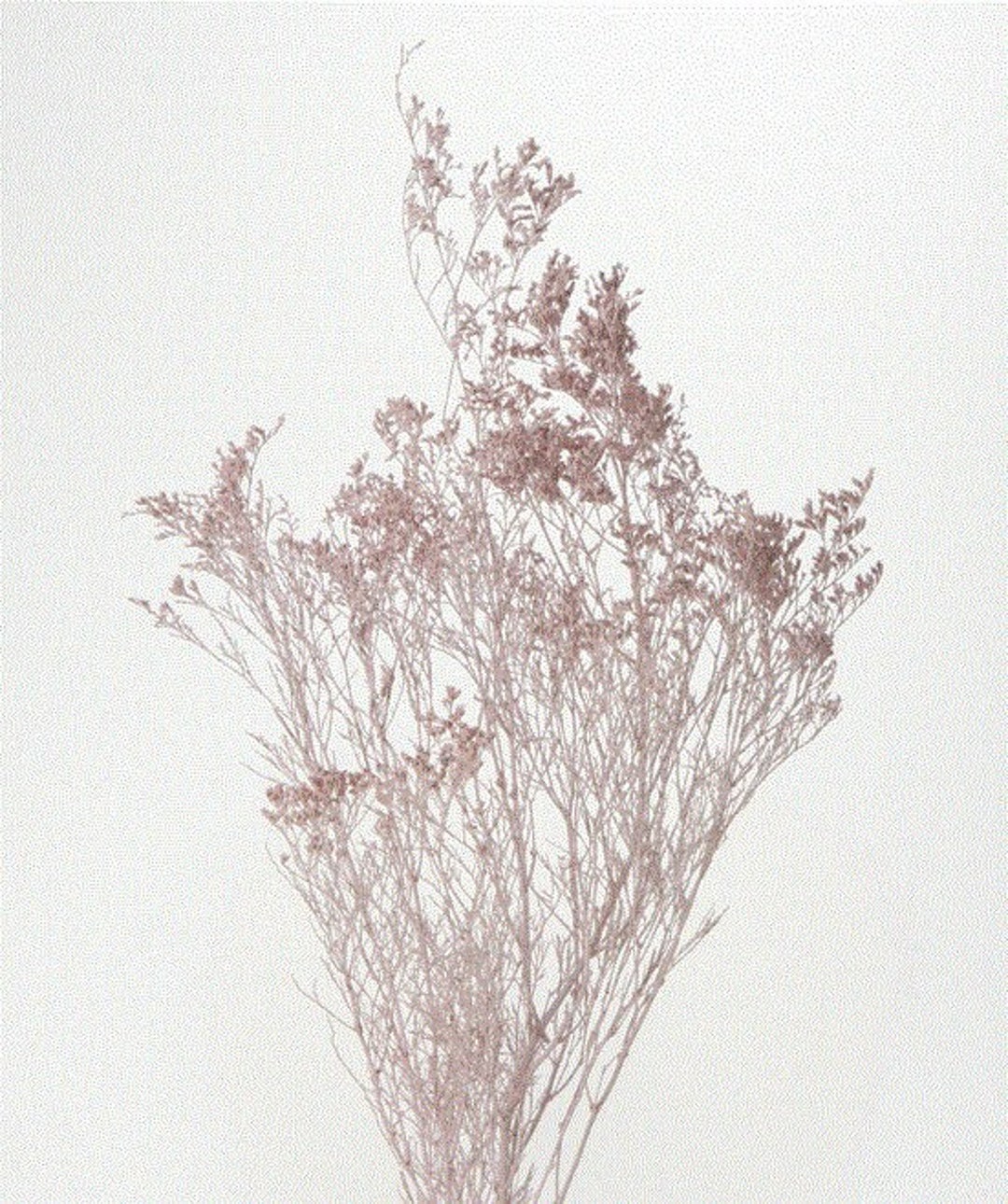 Matte Pink / Caspia Preserved Floral Arrangements Wedding - Etsy