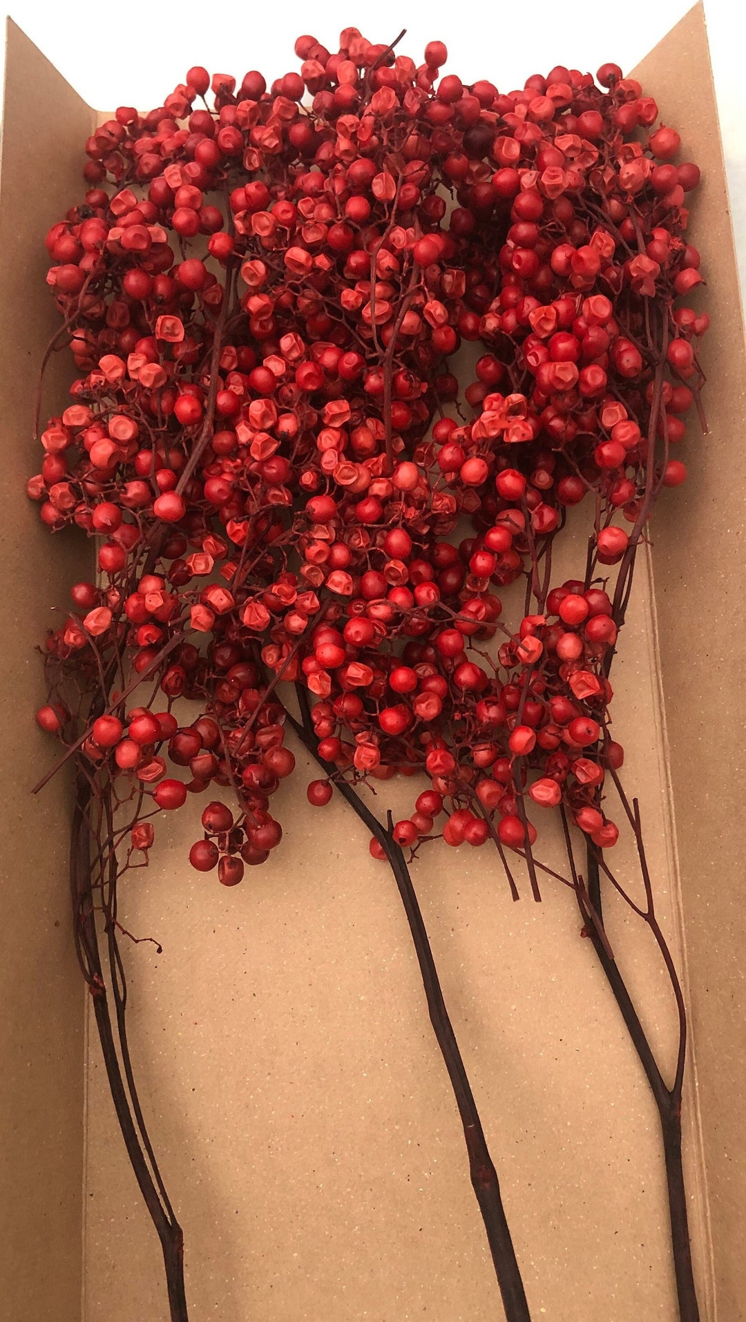 Free Shipping/red Pepperberry Preserved, Very Popular With Cute Little ...