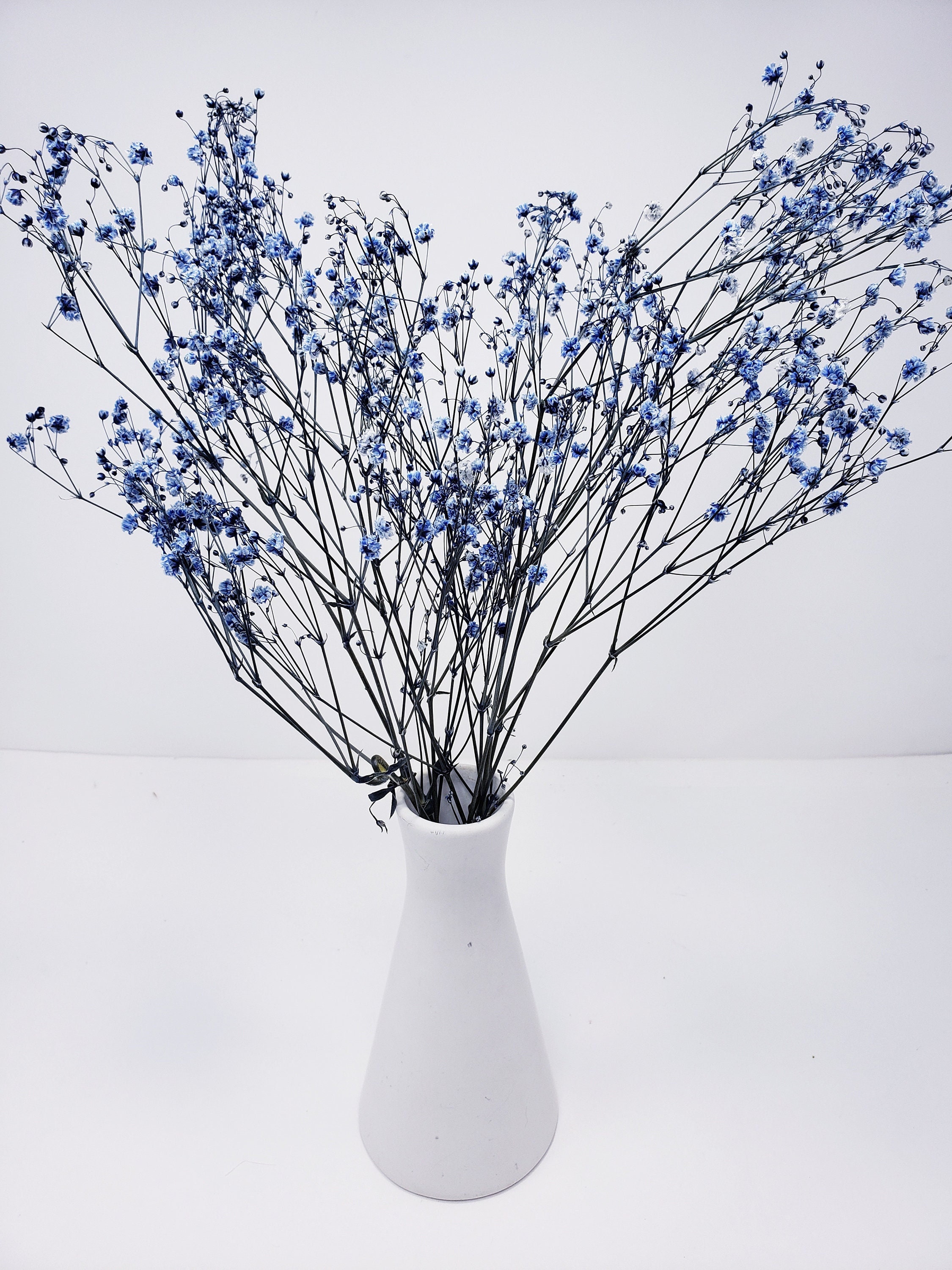 Antique Pres. Gypsophila Blue DIY Floral Arrangements DIY - Etsy