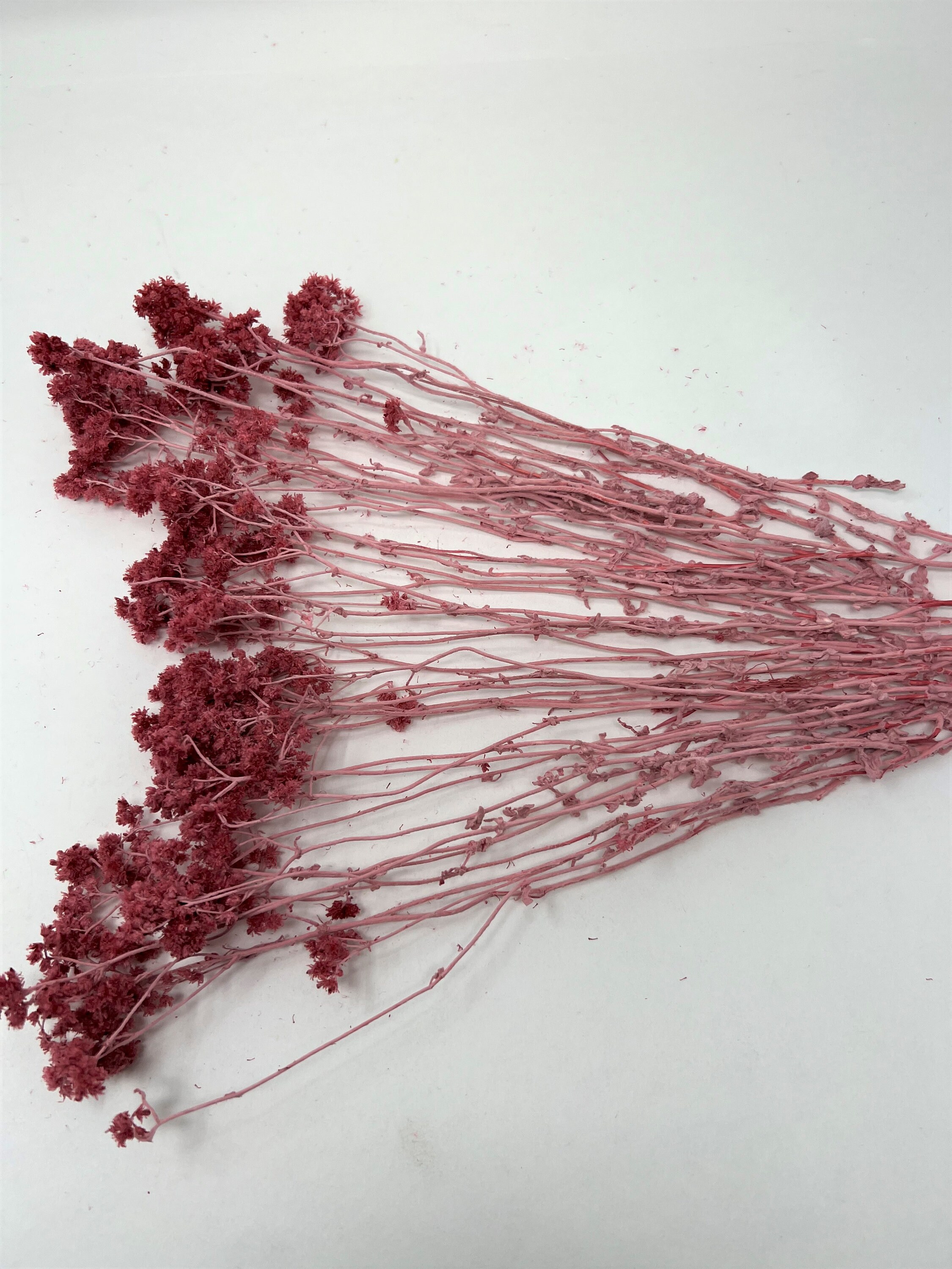 Raspberry Pink / Crispum Flowers Floral Arrangements Home - Etsy