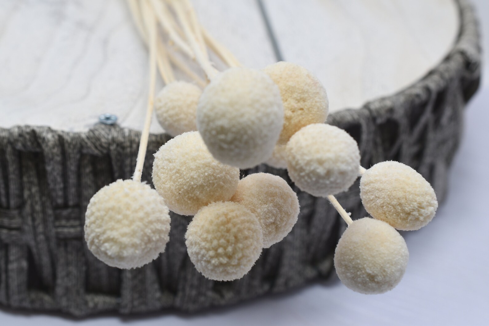Billy Buttons With White Buttons Dried Foliage Stems DIY - Etsy