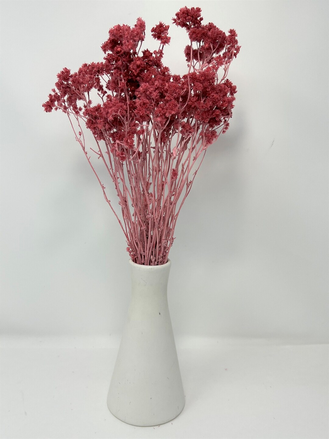 Raspberry Pink / Crispum Flowers Floral Arrangements Home - Etsy