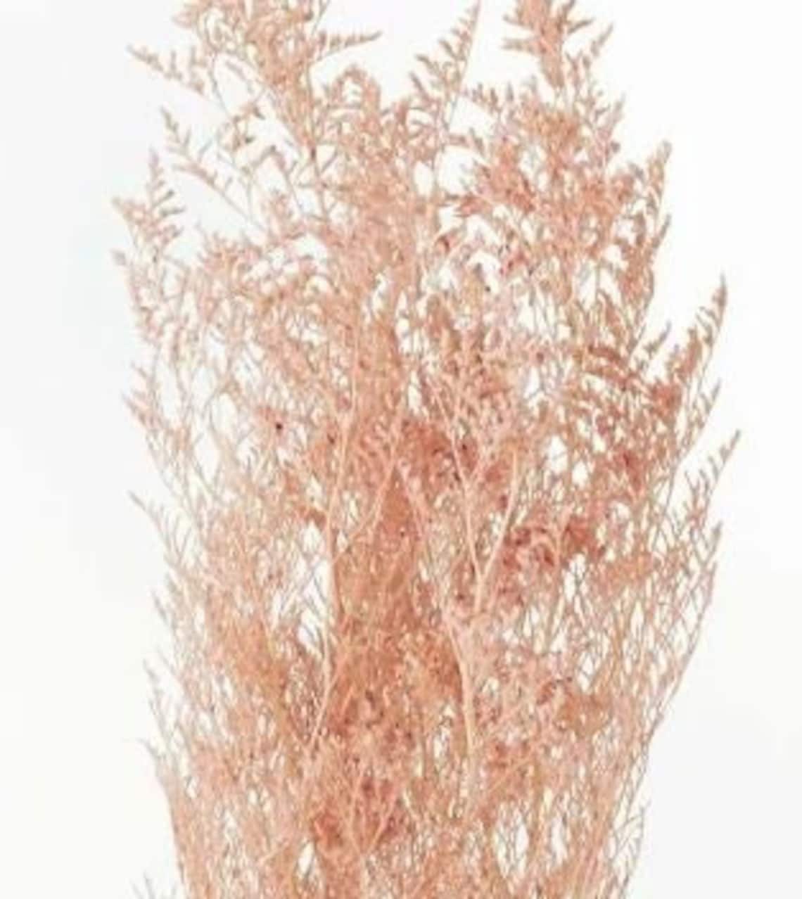 Caspia Preserved in Pink Beige Floral Arrangements Wedding - Etsy