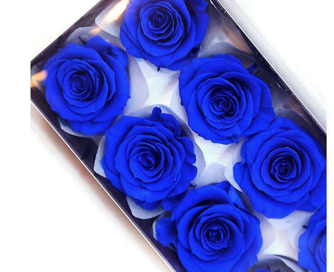 Large Indigo Blue Roses Japanese Preserved, DIY Flower Arrangements ...