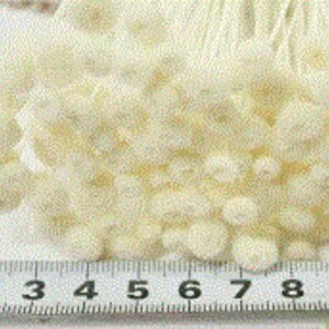 Amarely Flower in Spring Green, It is a Dried Flower With a Unique ...