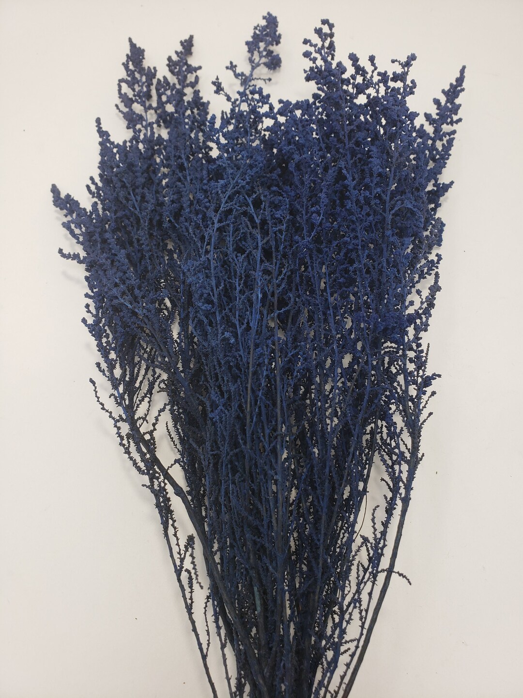 Powder Blue/ Stoebe , Preserved Leaves Pack, Wholesale Foliage , DIY ...